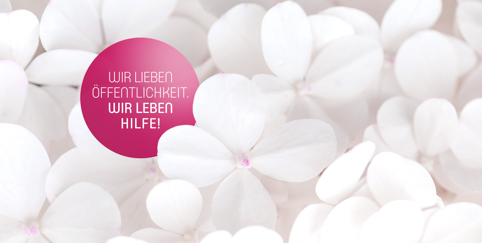 MedienWelt im aiutanda Magazin | aiutanda