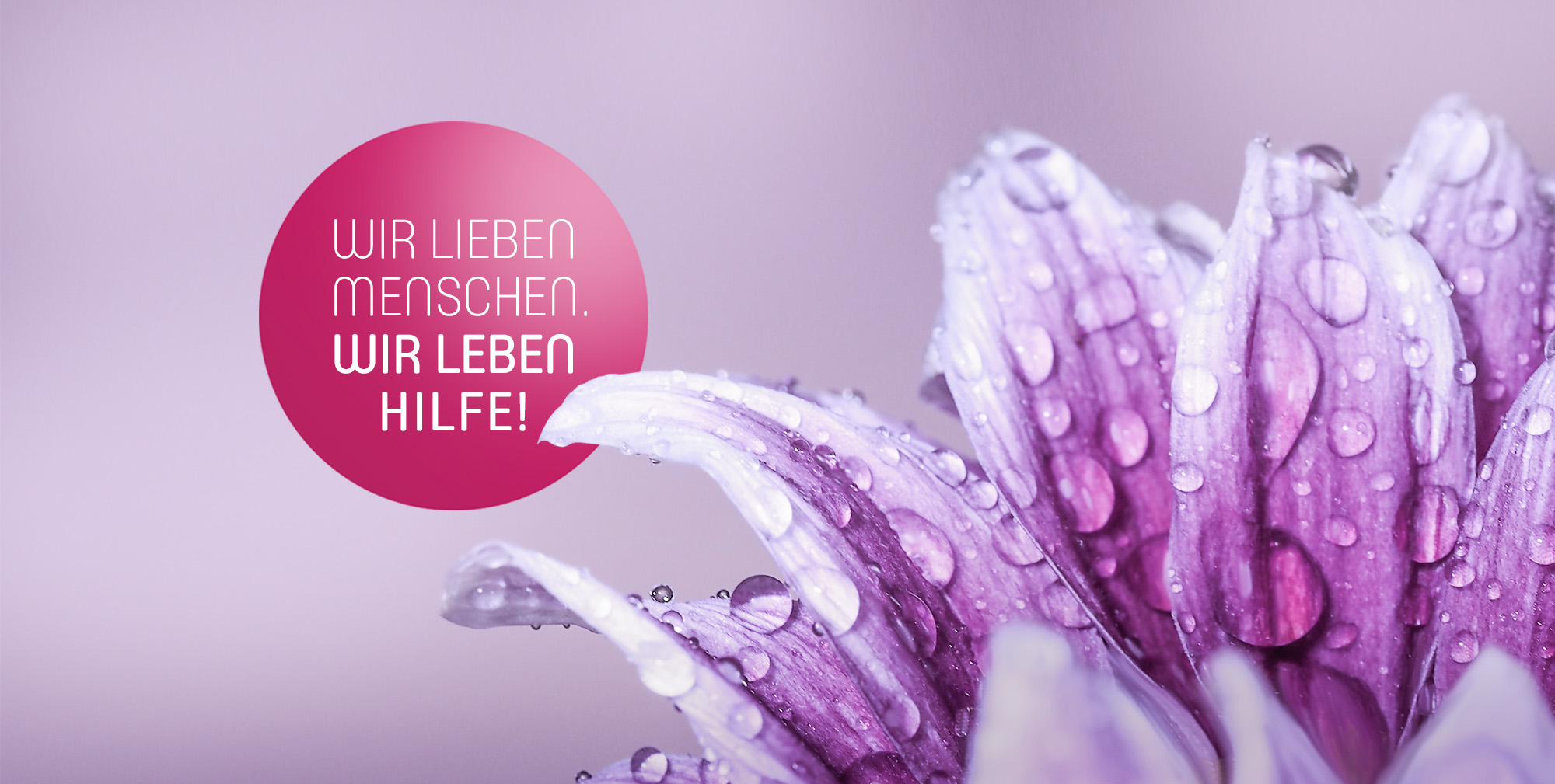 Unser Unternehmen: Lernen Sie uns kennen | aiutanda