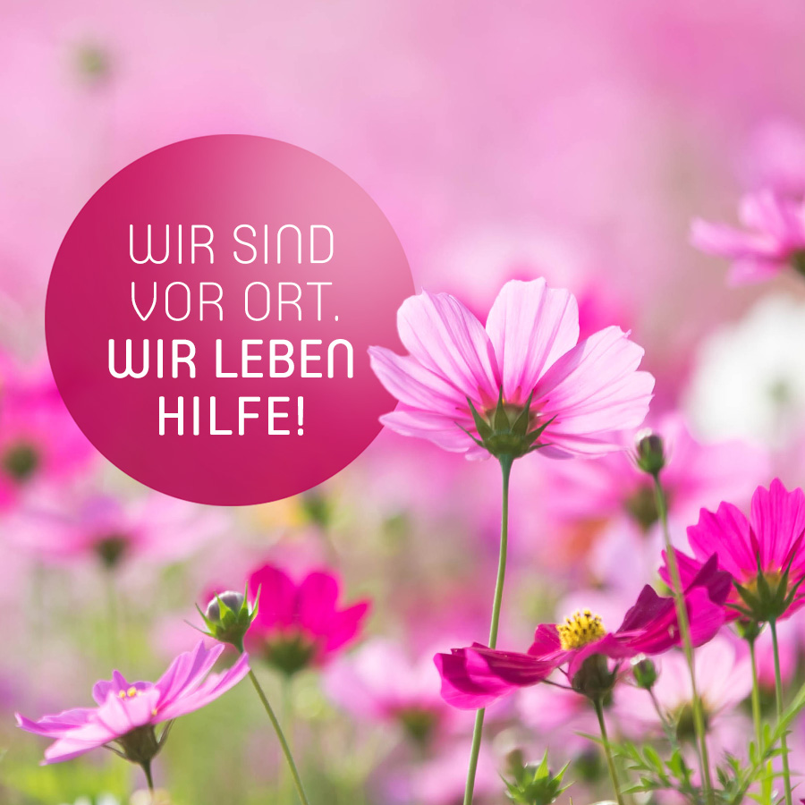 aiutanda NRW - Wir helfen Leben leben | aiutanda
