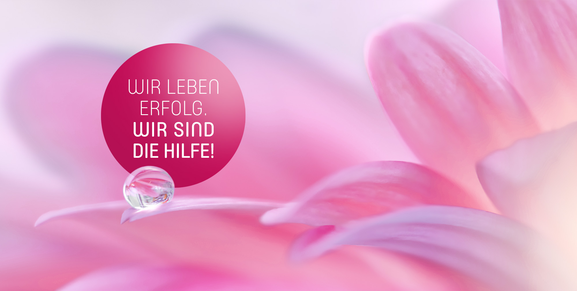 Wir sind die Hilfe mit a - Lernen Sie uns kennen! | aiutanda