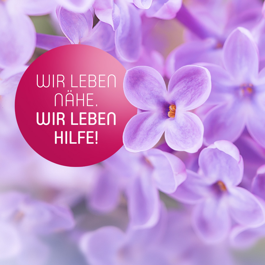 Unsere aiutanda Standorte in Deutschland | aiutanda